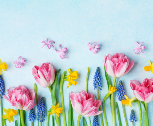 Spring Newer Member Mingle CREW Kansas City