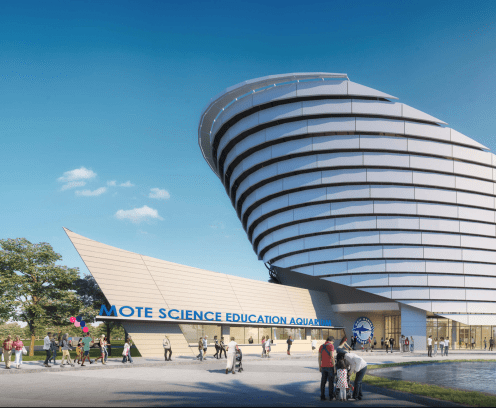 An Inside Look at the Making of Mote SEA CREW Sarasota