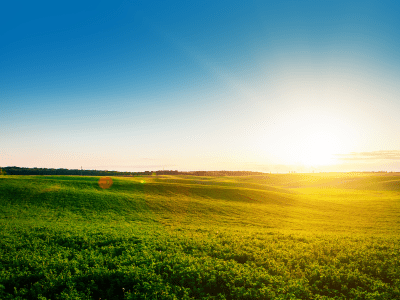 Volunteer Day at EarthDance Farms CREW-St. Louis