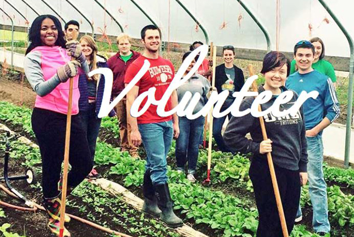 DEI Committee Invites You to Visit EarthDance CREW-St. Louis