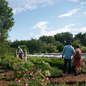DEI Committee Invites You to Visit EarthDance CREW-St. Louis